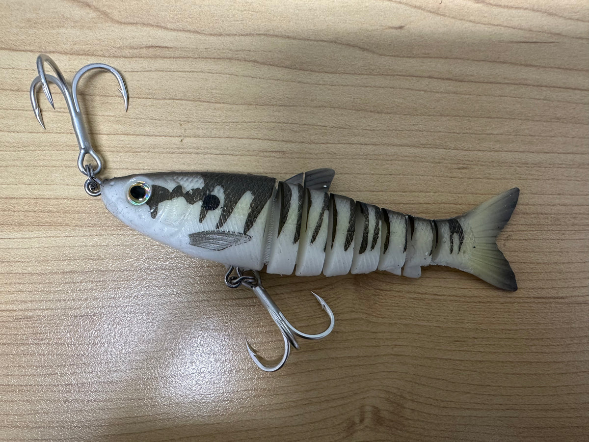 Shads Lures Jointed Boneys 6” Barred Grunter – Master Angler