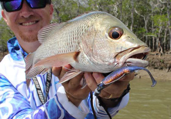 Magbite Snatchbite Shad 3 inch – Master Angler