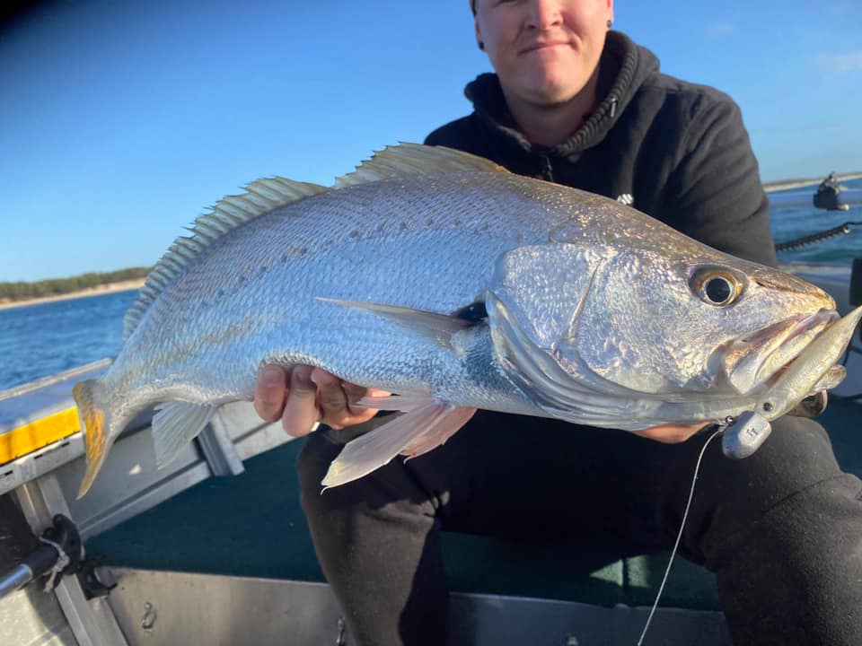 Fish Arrow Flash J Shad SW Series 4 inch – Master Angler